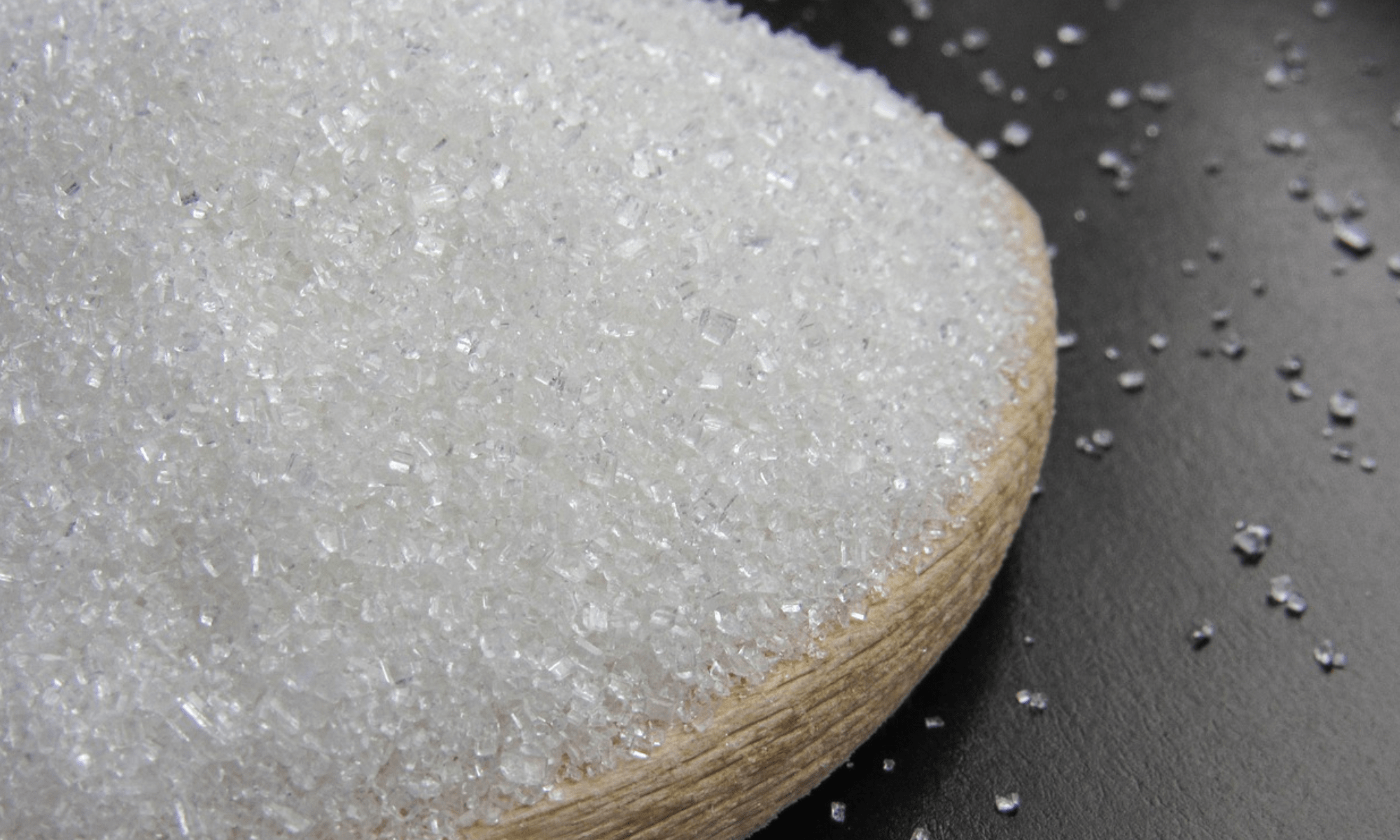 Una vez y para siempre, grábatelo en la cabeza: ¡La orquídea no ...